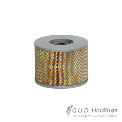 AutoZone. Air Filter - GUD - ADG969